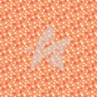 Basic - Aufleger mit geprägtem Rahmen | CD-Basic-001